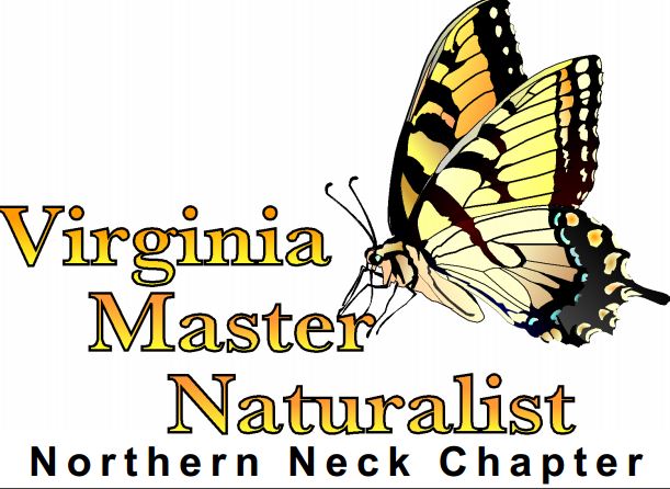 Northern Neck Master Naturalists – Northern Neck Green