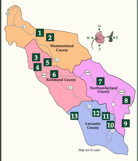 Northern Neck Native Plant Trail – Northern Neck Green