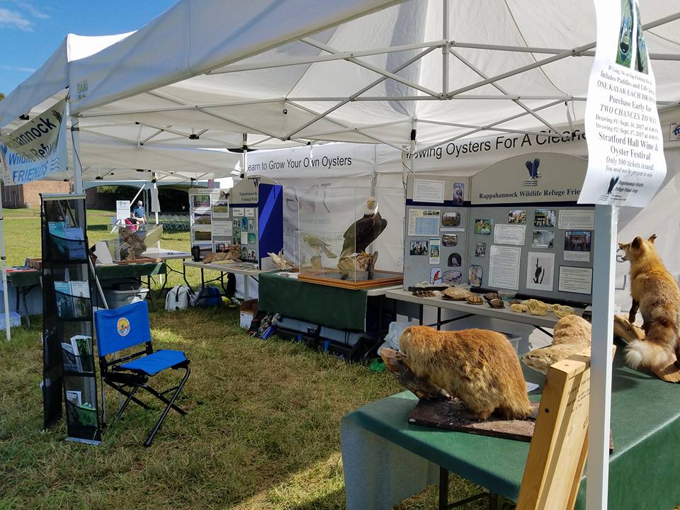 Wildlife Refuge at the Farnham Country Fair – Northern Neck Green