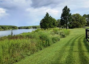 Riparian Buffers Presentation – Northern Neck Green